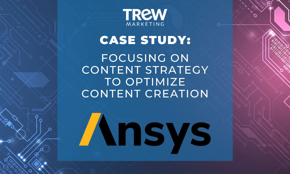 ANSYS Case Study | TREW Marketing